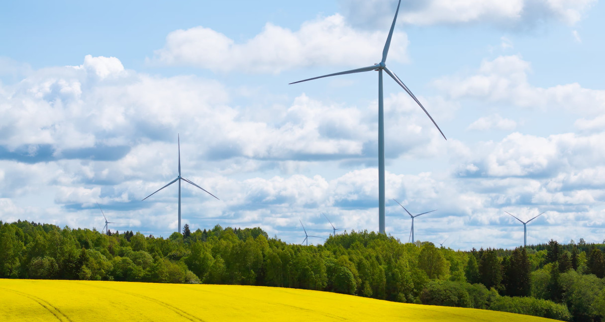 The first offshore wind farm in the Baltics will be called Curonian ...