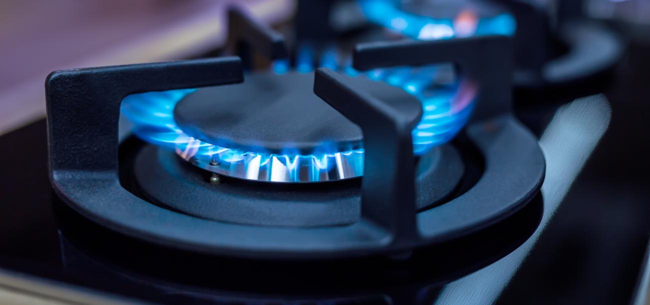 Patvirtintos naujos gamtinių dujų ir visuomeninio elektros energijos ... Patvirtintos naujos gamtinių dujų ir visuomeninio elektros energijos ...